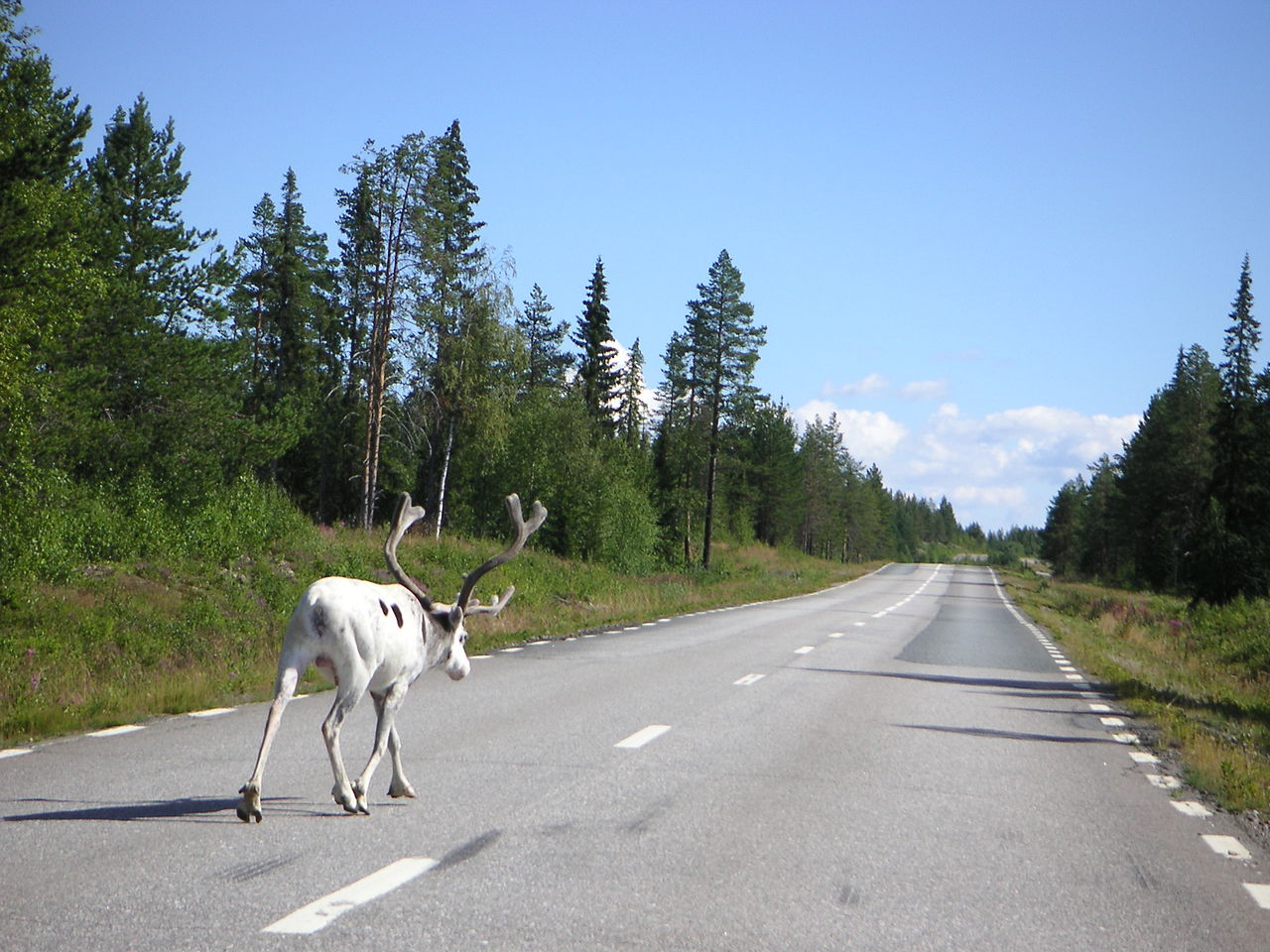 Exploring the E45: Europe’s Longest Road Connecting Norway to Sicily ...